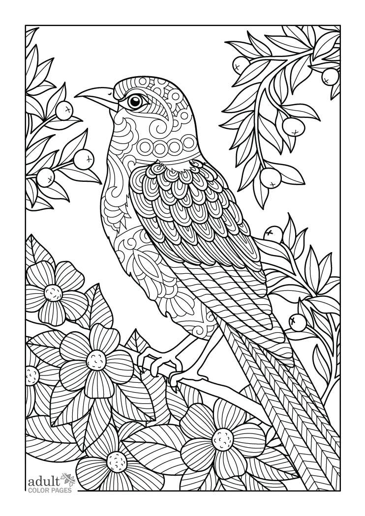 Free Printable Spring Animal Coloring Pages For Adults